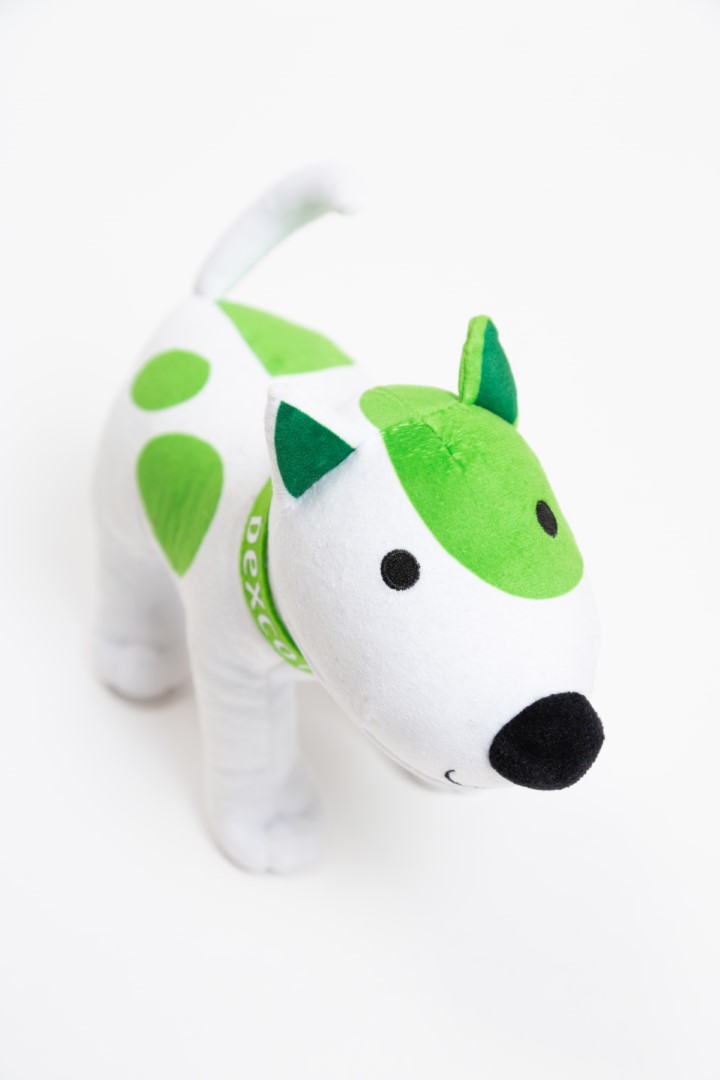 Dexter - The Toy Mascot Company